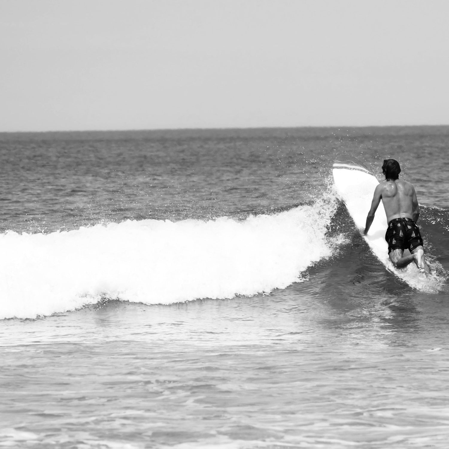 Secondary Swell Surf Shop